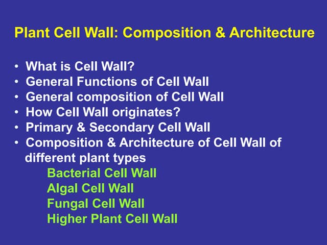 Cell Wall Structure And Function Pptx