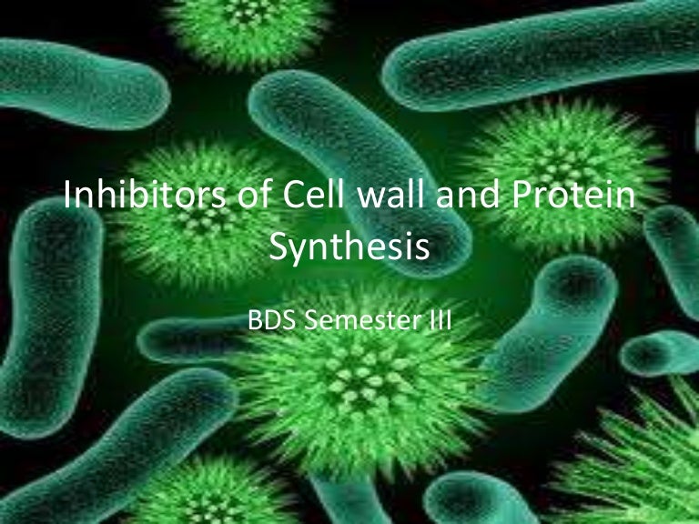 Inhibitors of Cell wall and protein synthesis in bacteria BDS Sem III…