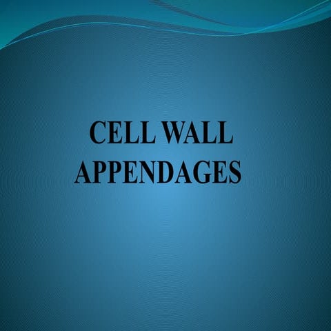 Flagella, fimbriae, pili and capsule | PPTX