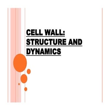 cell wall msc.pptx | Chemistry | Science