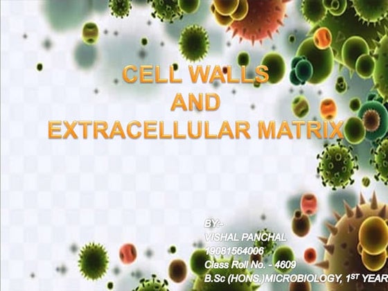 Cell wall structure and function | PPTX | Biological Sciences | Science
