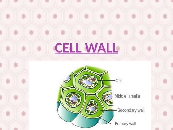 Comparison Between Cell Wall and Cell Membrane.pptx