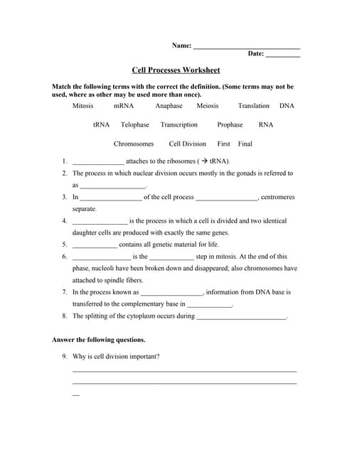 Plant reproduction worksheet | PDF