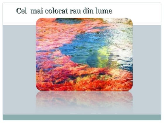 Imagini din jurul lacului ursu din sovata | PPS