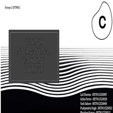 Celonis Final PPT.pptx