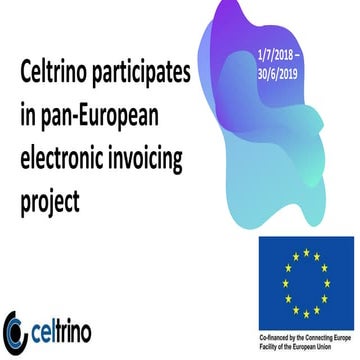E invoicing, e invoicing standardization in europe | PDF