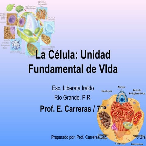 8° básico LA CELULA | PPT