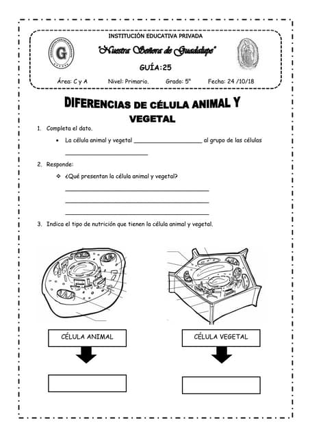 la celula y sus partes | PDF