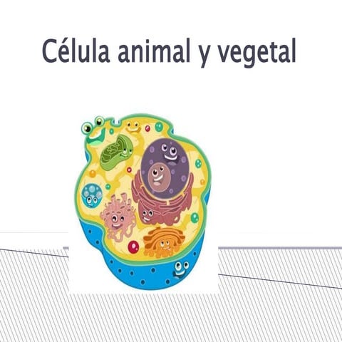 Célula animal y vegetal | PPTX
