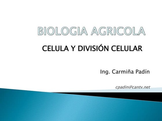3 el grano de polen morfología,estructura y diversidad | PDF