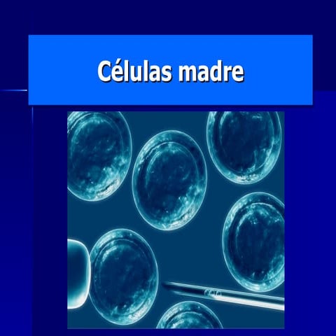 Celulas madre | PPT