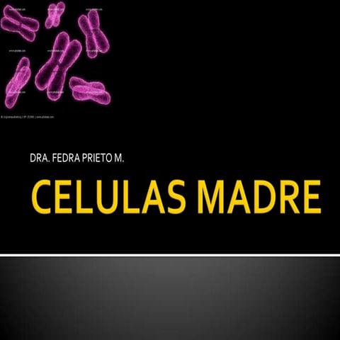 Células Madre [Stem Cells] | PPTX