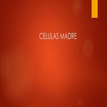 Celulas madre 16 17 | PPTX