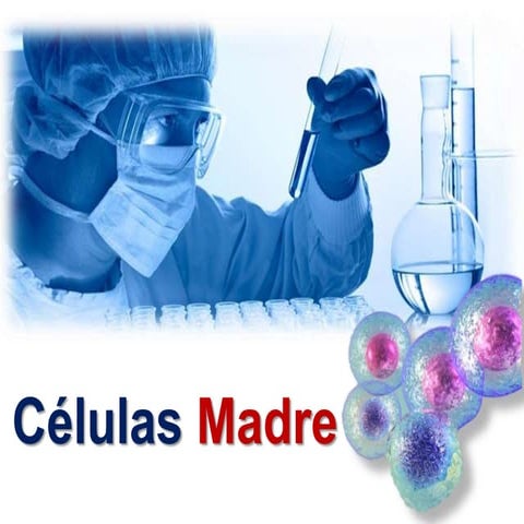 Células Madre [Stem Cells] | PPTX