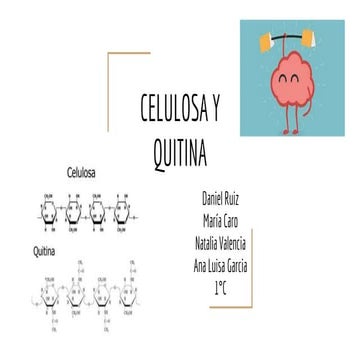 Quitina: Características, funciones y aplicaciones. | PPTX