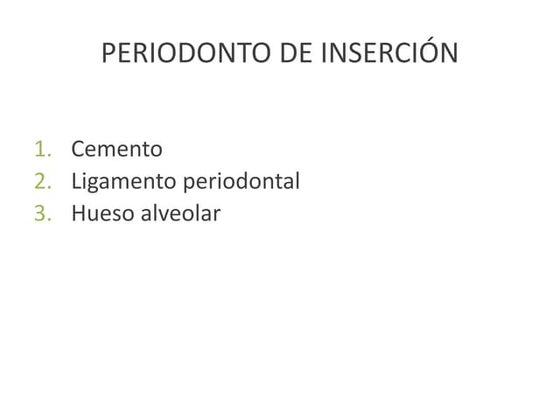 Cemento Radicular | PPT