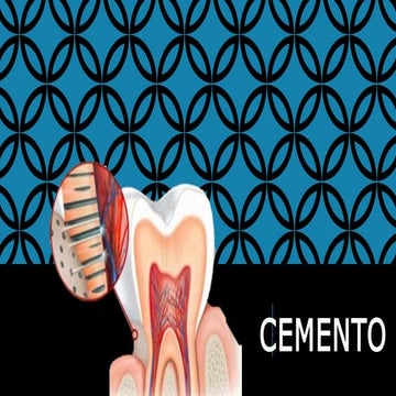 Cementogenesis | PPTX