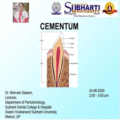 Cementum-20207231215390.ppt