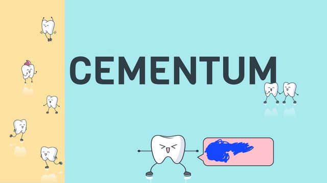 difference between primary and secondary tooth | PPTX | Dental Health ...
