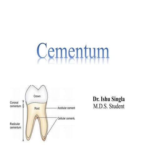 cementum by dr. ishu singla.pptx