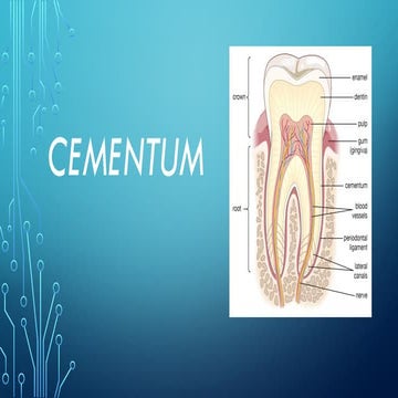 CEMENTUM ppt.pptx Parasitology_ protozoa_ Document from Ramesh Sardar ð ...