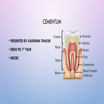 CEMENTUM PPT new.pptx it is a most important structure for retaining ...