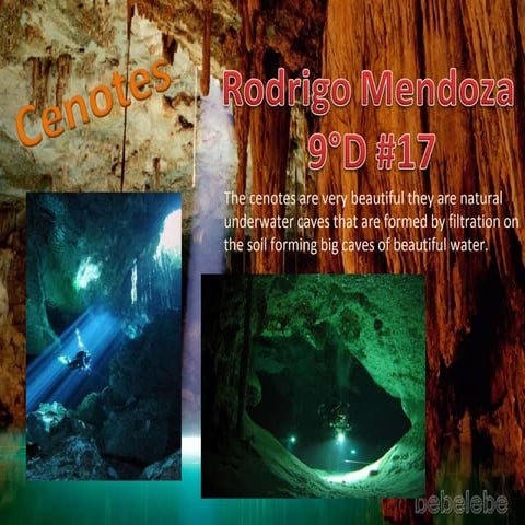Cenotes Presentation | PPT | Geology | Science