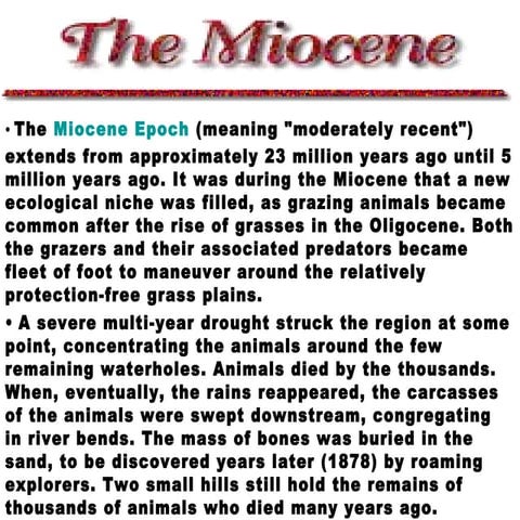 Miocene -Pliocene | PPT