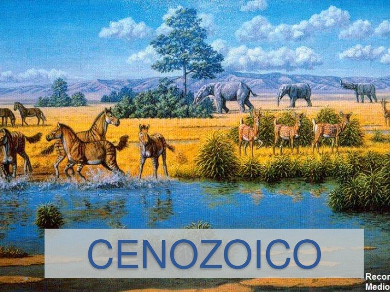 Historia del Cenozoico