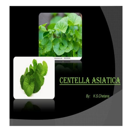 Centella asiatica | PDF