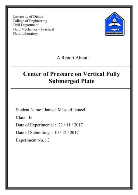 Fluid Mechanic Lab - Hydrostatic Pressure | PDF | Chemistry | Science