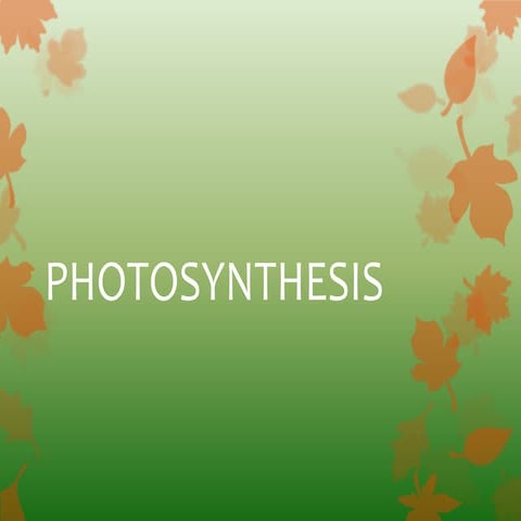 Photosynthesis | PPT