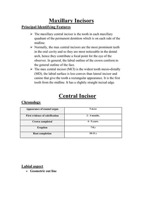 morphology of Maxillary central and lateral incisors teeth | PPT | Dental Health | Diseases and ...