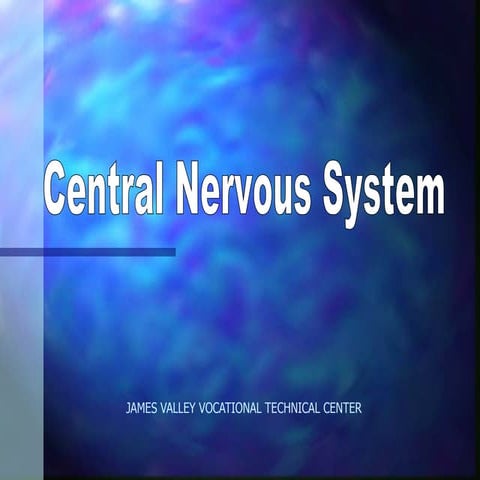 Central nervous-system | PPT