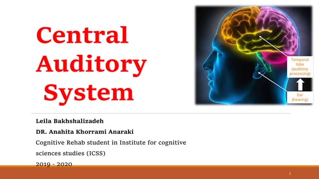 Auditory pathway | PPTX