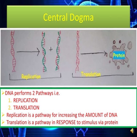 Central dogma | PPT