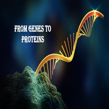 Central Dogma - Translation & Transcription.pptx