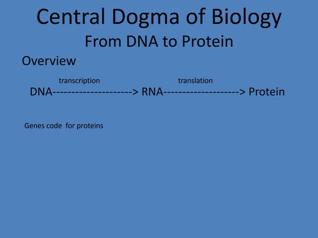 Central Dogma Of Dna | PPT