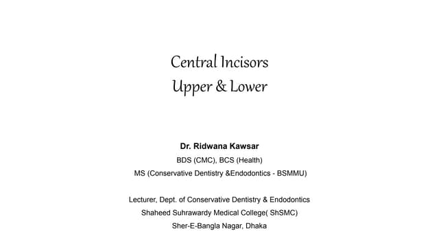 morphology of Maxillary central and lateral incisors teeth | PPT