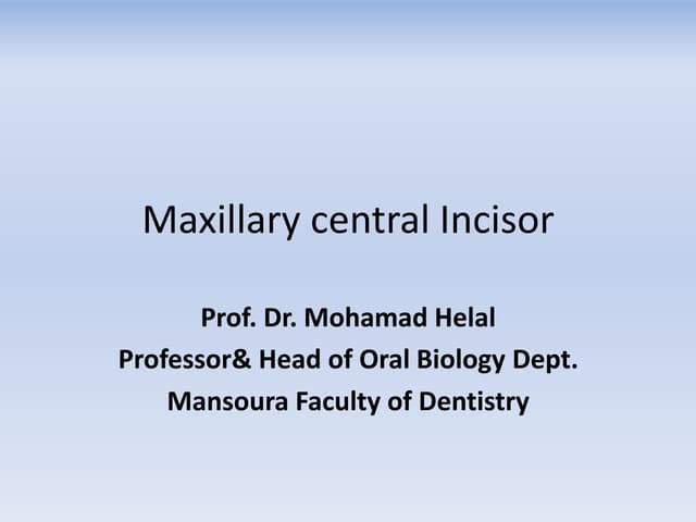 morphology of Maxillary central and lateral incisors teeth | PPT | Dental Health | Diseases and ...