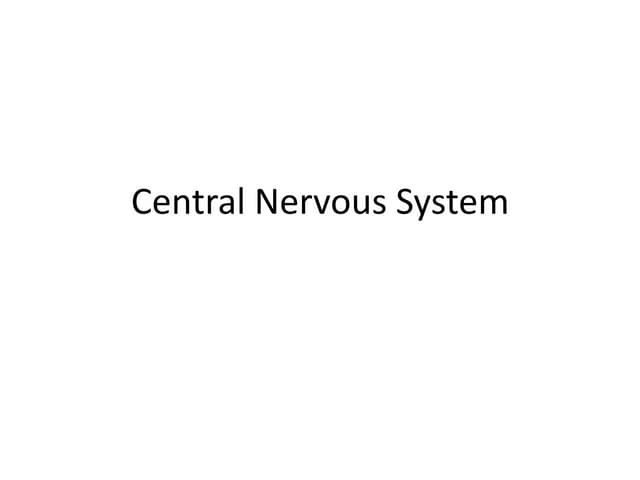 The Nervous System Parts And Functions | PPT