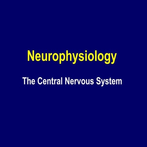 Central nervous system | PPT