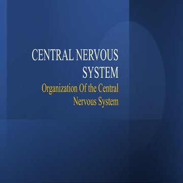 CENTRAL NERVOUS SYSTEM.pptx