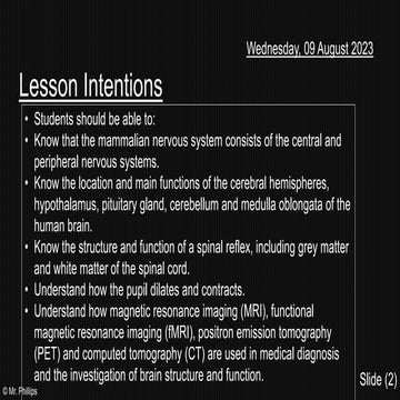 Central Nervous System.pptx