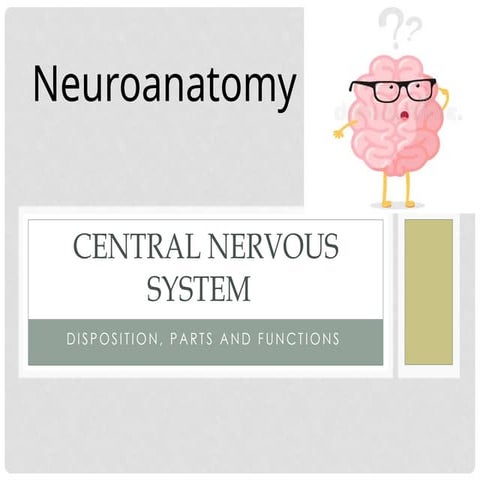 Central Nervous System of Brain .pptx