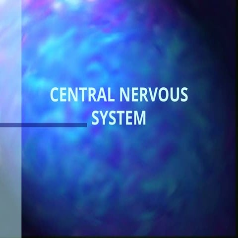 Central Nervous System - CHAP 5.pptx PUL | PPT