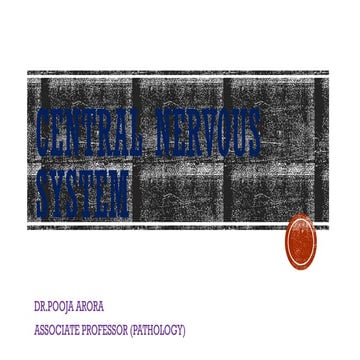 CENTRAL_NERVOUS_SYSTEM power point presentation | PPTX