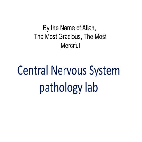 Central nervous system pathology lab | PPTX