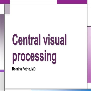 Central visual processing | PPSX