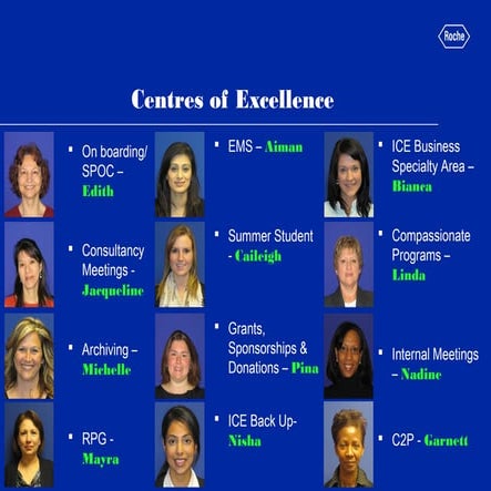 Centres of excellence | PPT | Business | Business and Finance